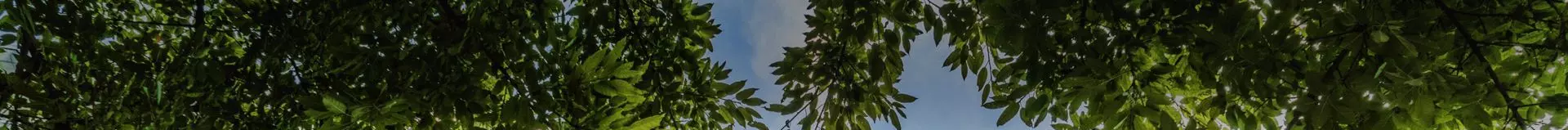 Comprendre ce que fait Smart Impulse en une minute